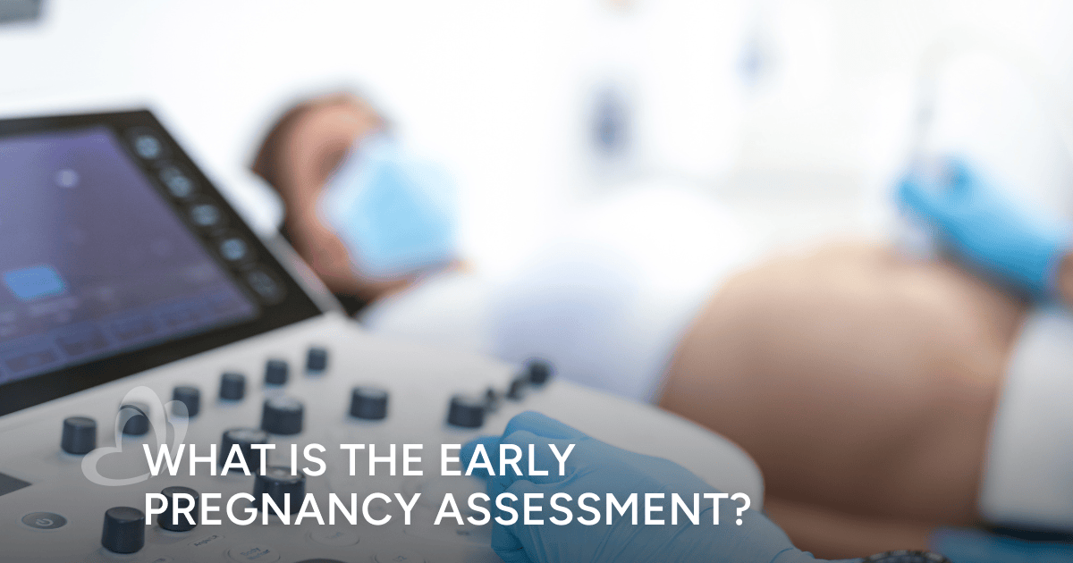 What is Early Pregnancy Assessment? | Thomson Medical