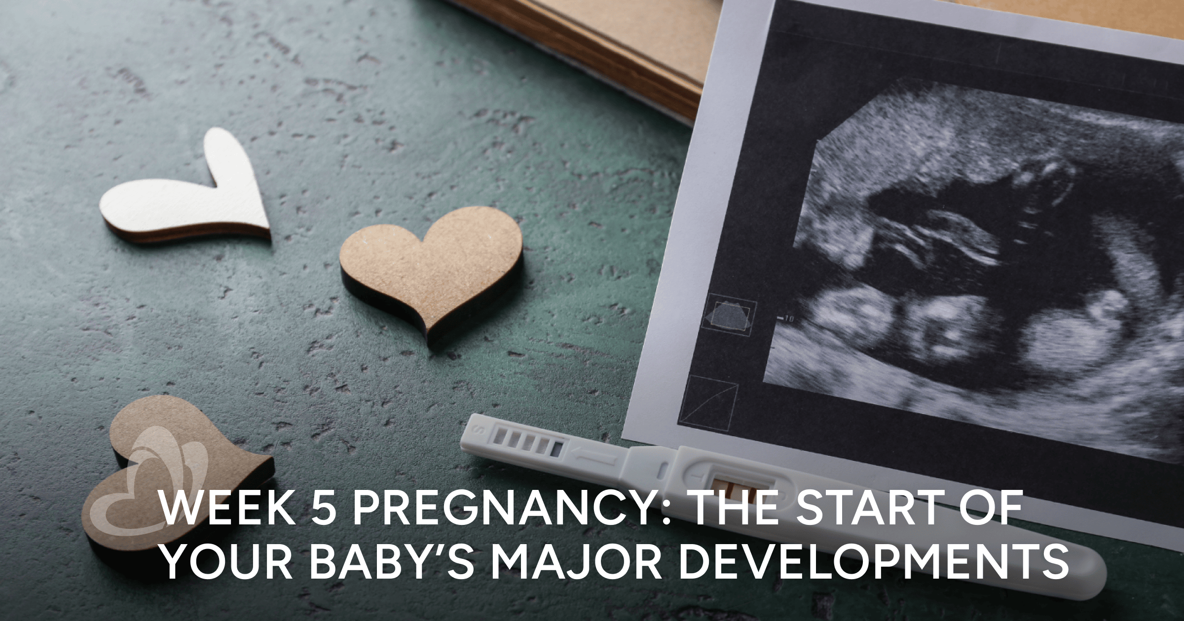 Week 5 Pregnancy: The Start of Your Baby’s Major Developments | Thomson ...