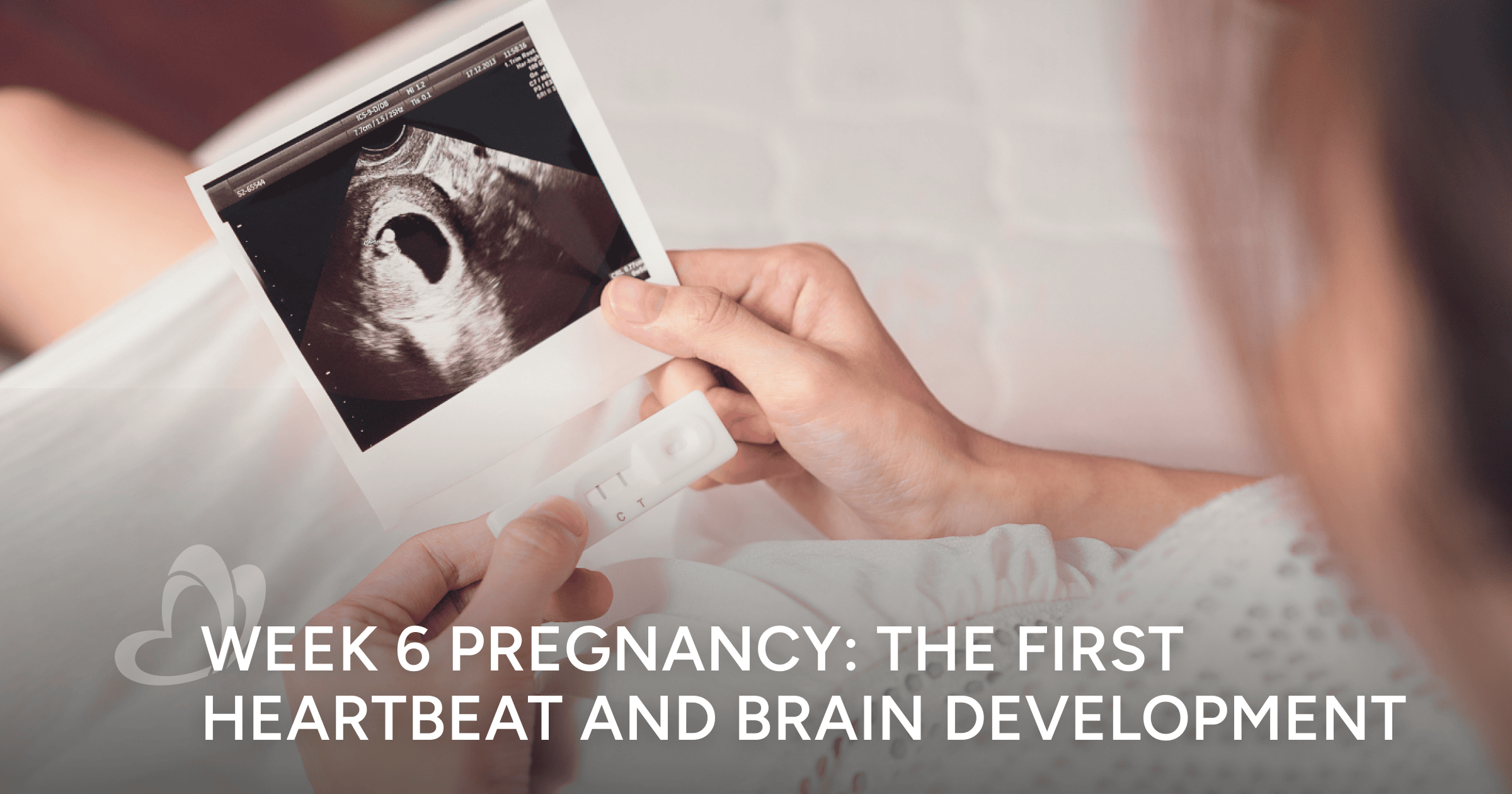 Week 6 Pregnancy: The First Heartbeat and Brain Development | Thomson ...