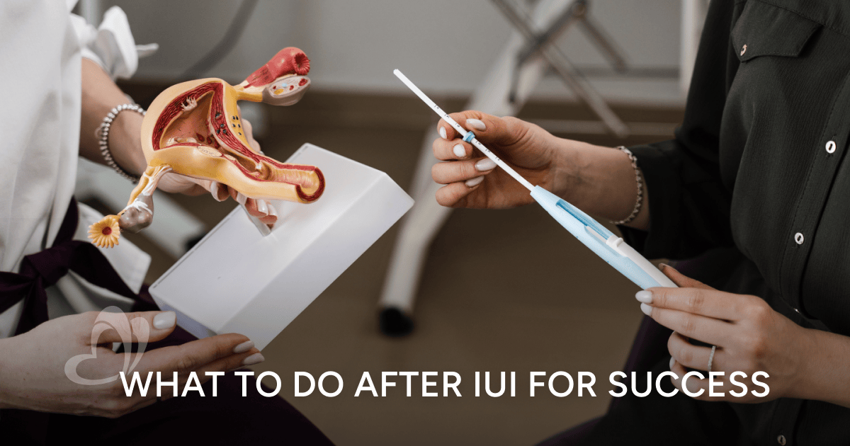 What to Do After IUI for Successful Conception | Thomson Medical
