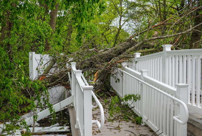 Homeowners Insurance Tips & Information | Progressive