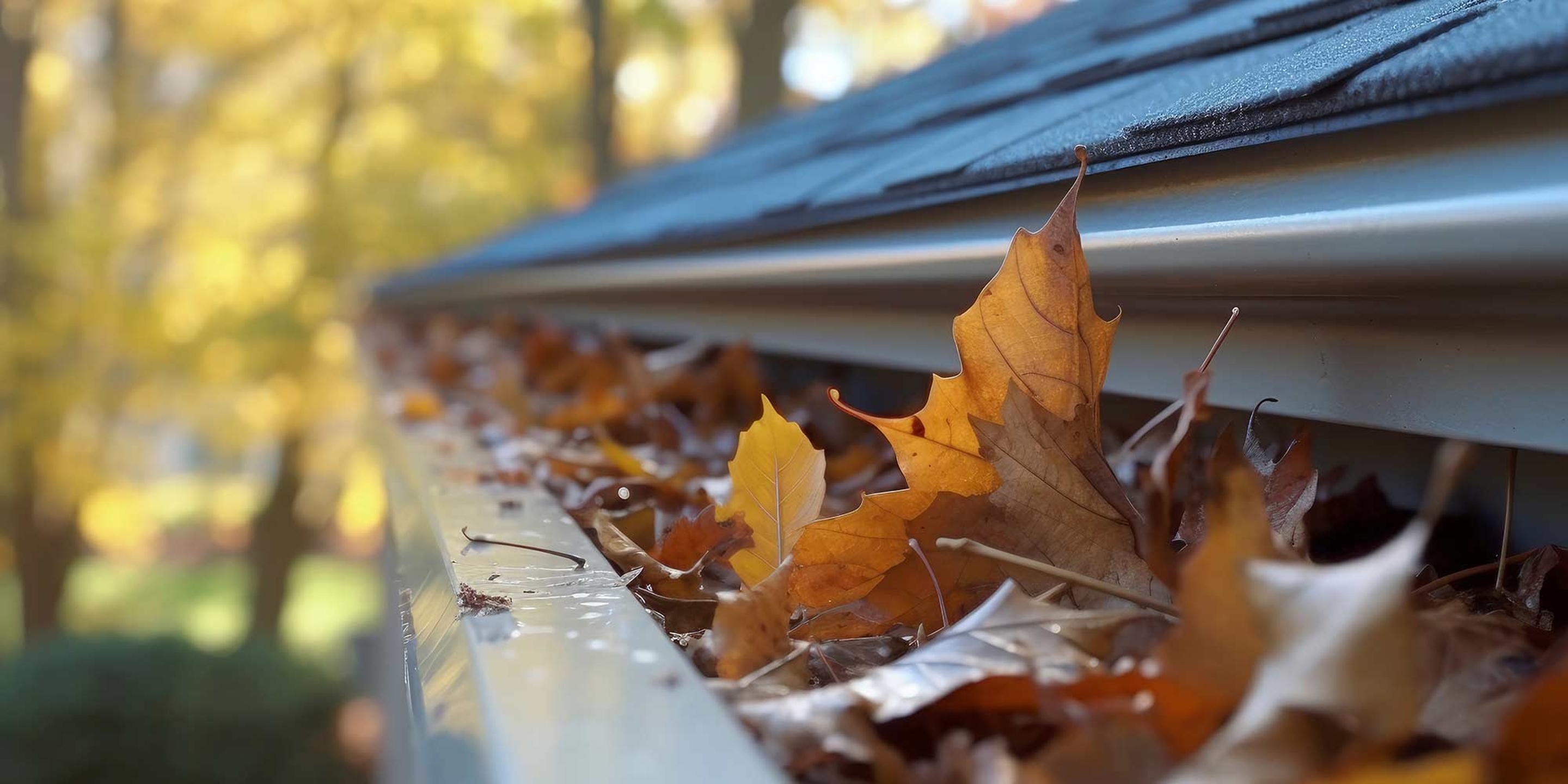 Gutter Cleaning & Maintenance Tips | Progressive