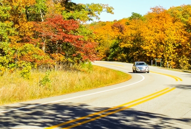 Insurance by State | Progressive