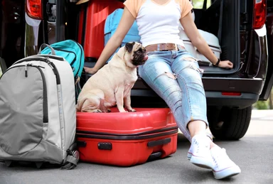 What Is Trip Interruption Insurance? | Progressive