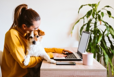 Pet Insurance Deductibles Explained | Progressive