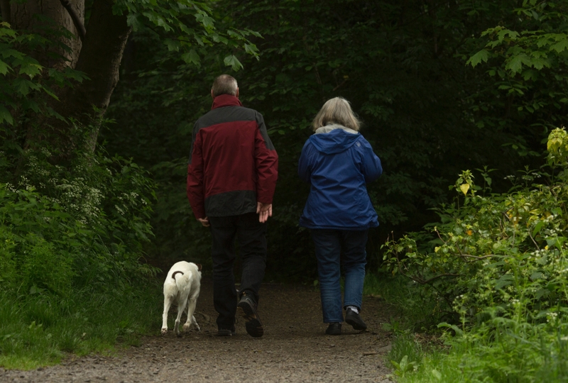 Life Insurance Tips & Articles | Progressive