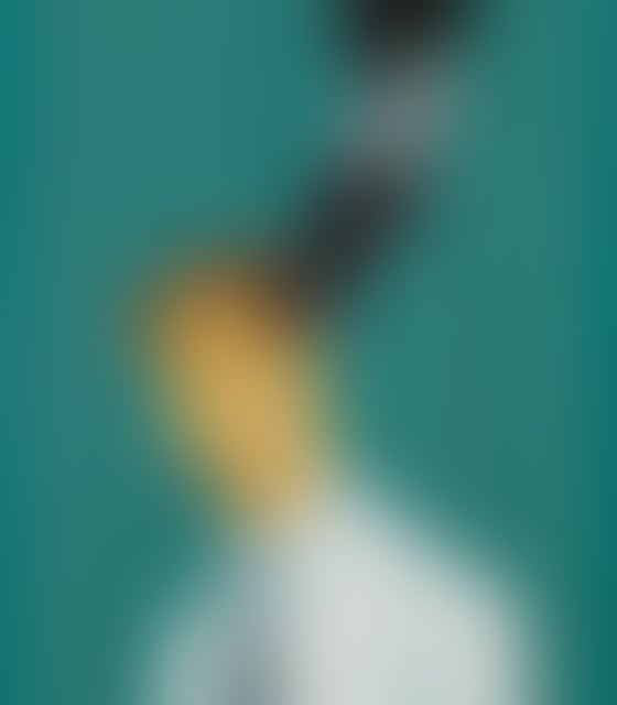 Art Collection Highlights | Progressive