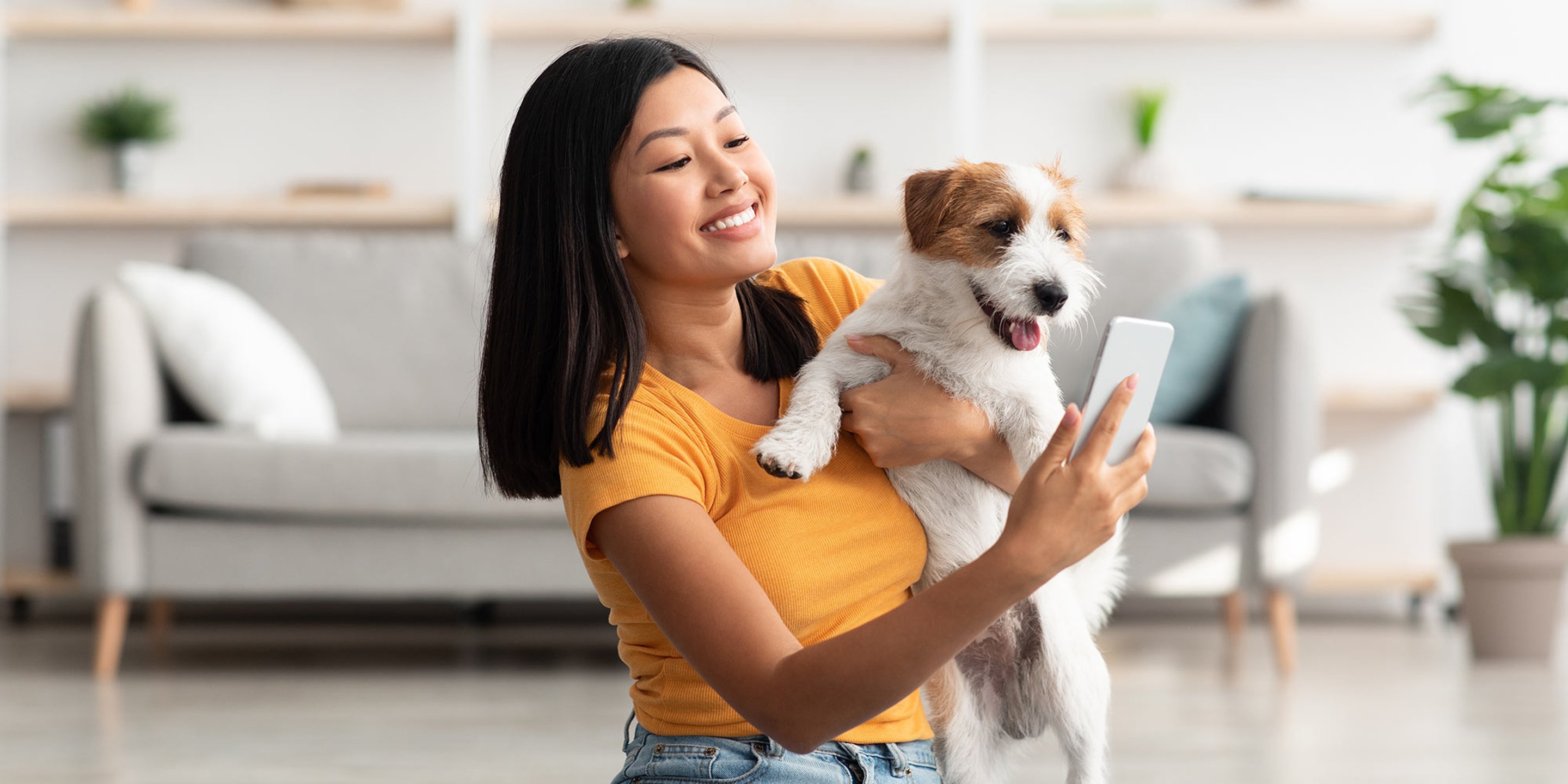 How to Order Pet Medications Online | Progressive