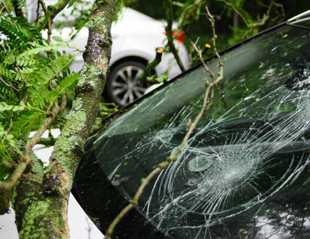 What's Covered: Accidents and Violations | Progressive