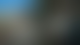 Insurance Commercials & Campaigns | Progressive