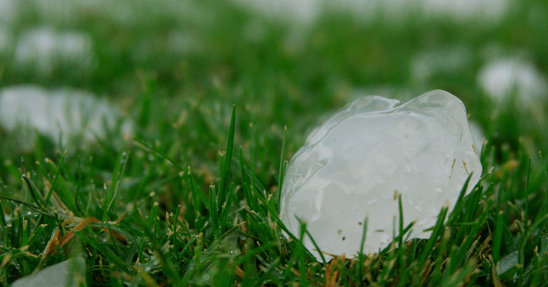 How To Prepare For a Hailstorm | Progressive