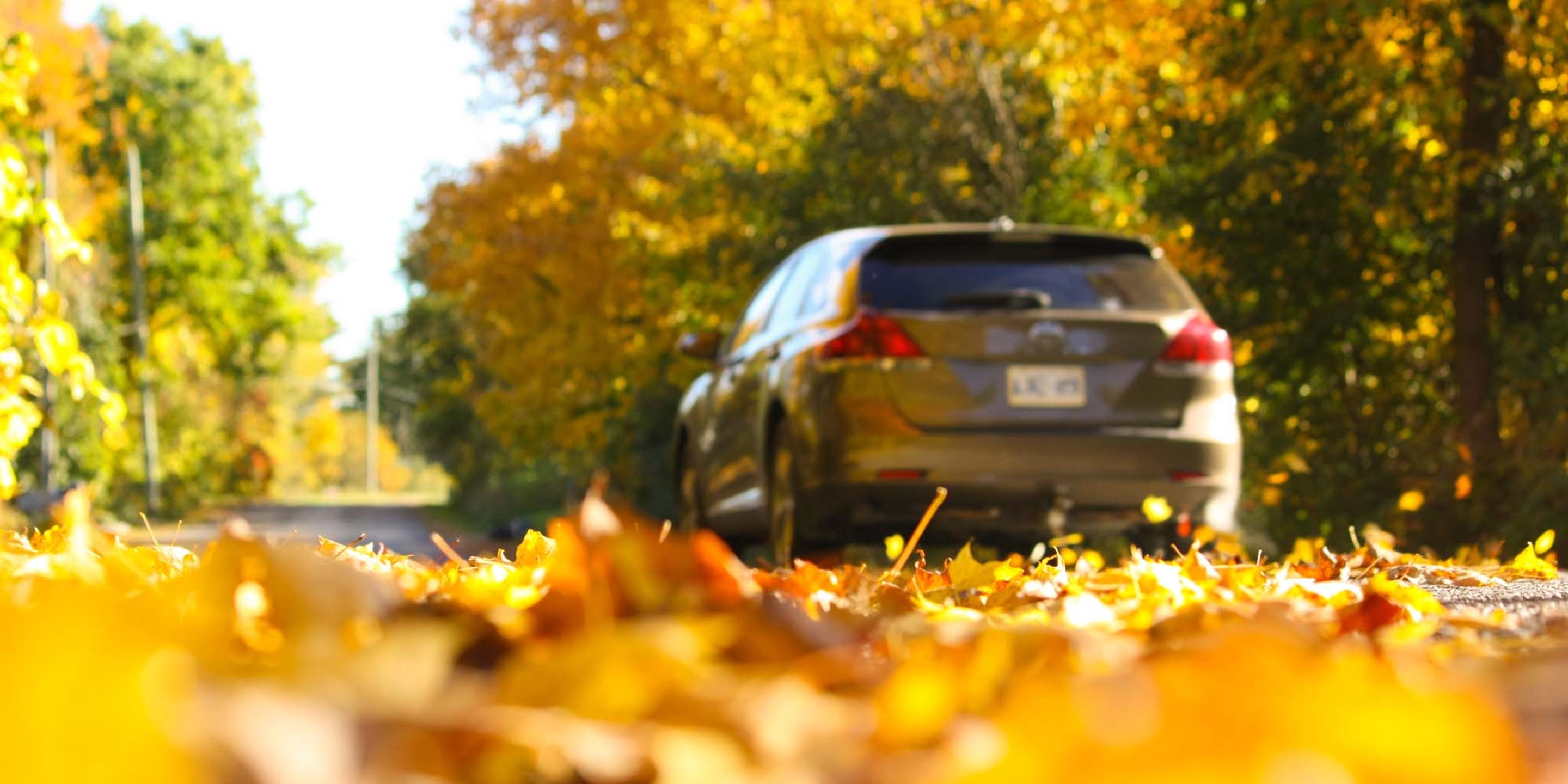 Autumn Driving Tips | Progressive