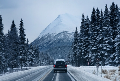 Insurance by State | Progressive