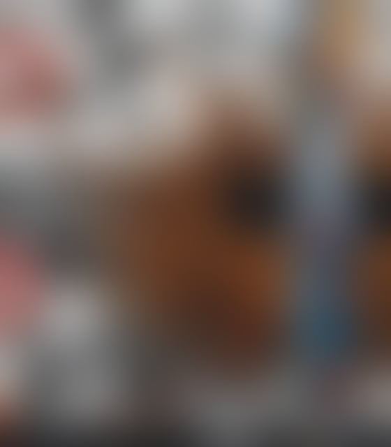 Art Collection Highlights | Progressive