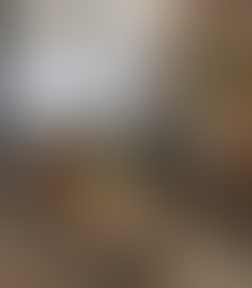 Progressive campus location | Progressive