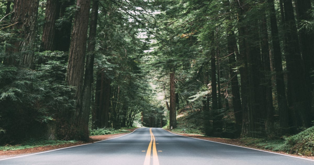 Non-Owner SR-22 Insurance | Progressive