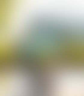 Acerca de Nosotros | Progressive