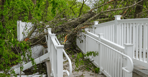 Recovering from Natural Disasters | Progressive