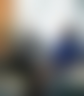 Acerca de Nosotros | Progressive