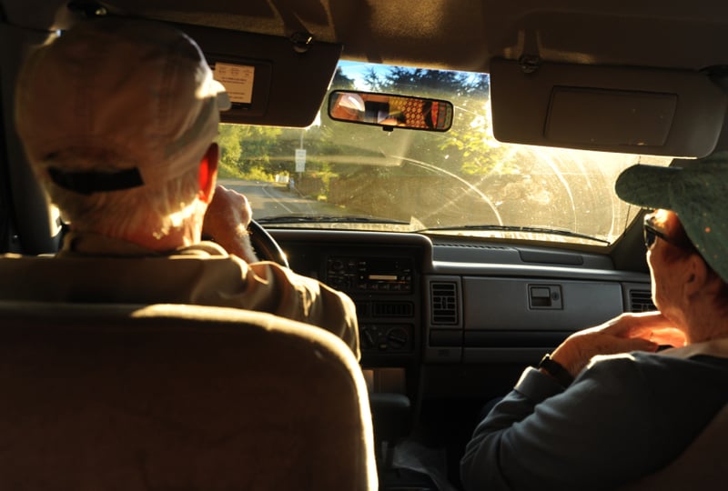 What's Covered: Accidents and Violations | Progressive