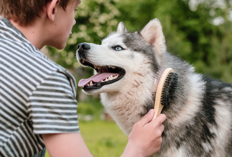 Pet Insurance Information | Progressive