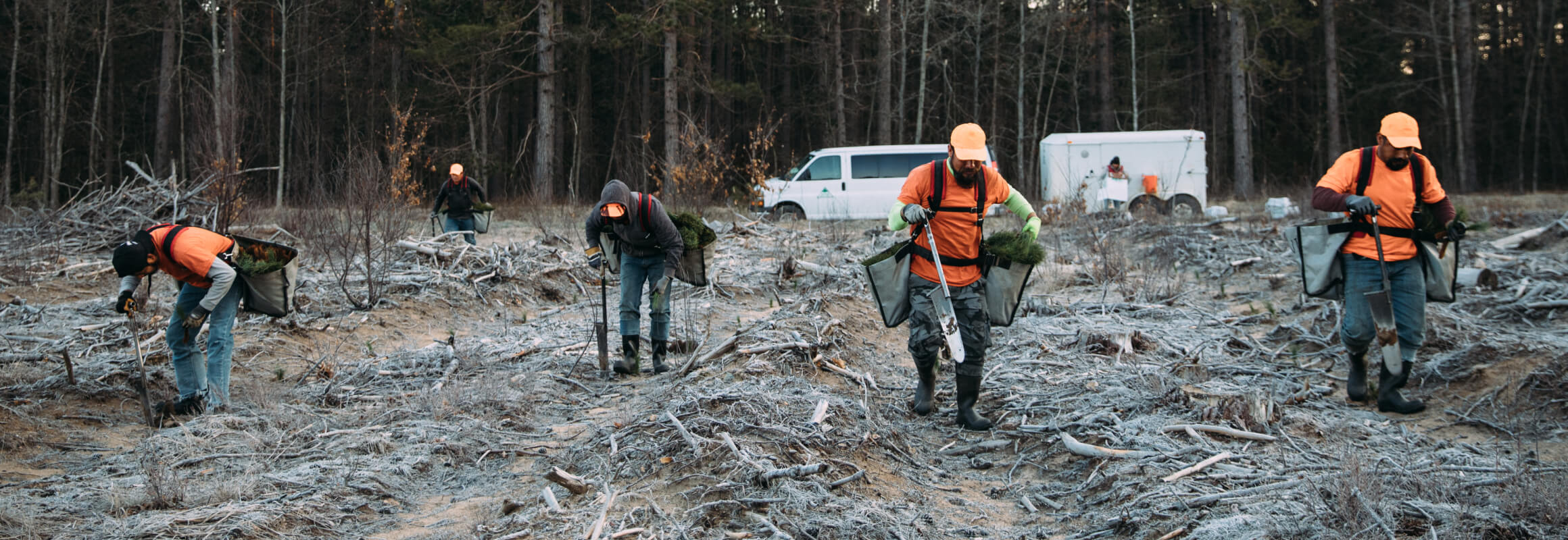 Plant a Tree Program | Progressive