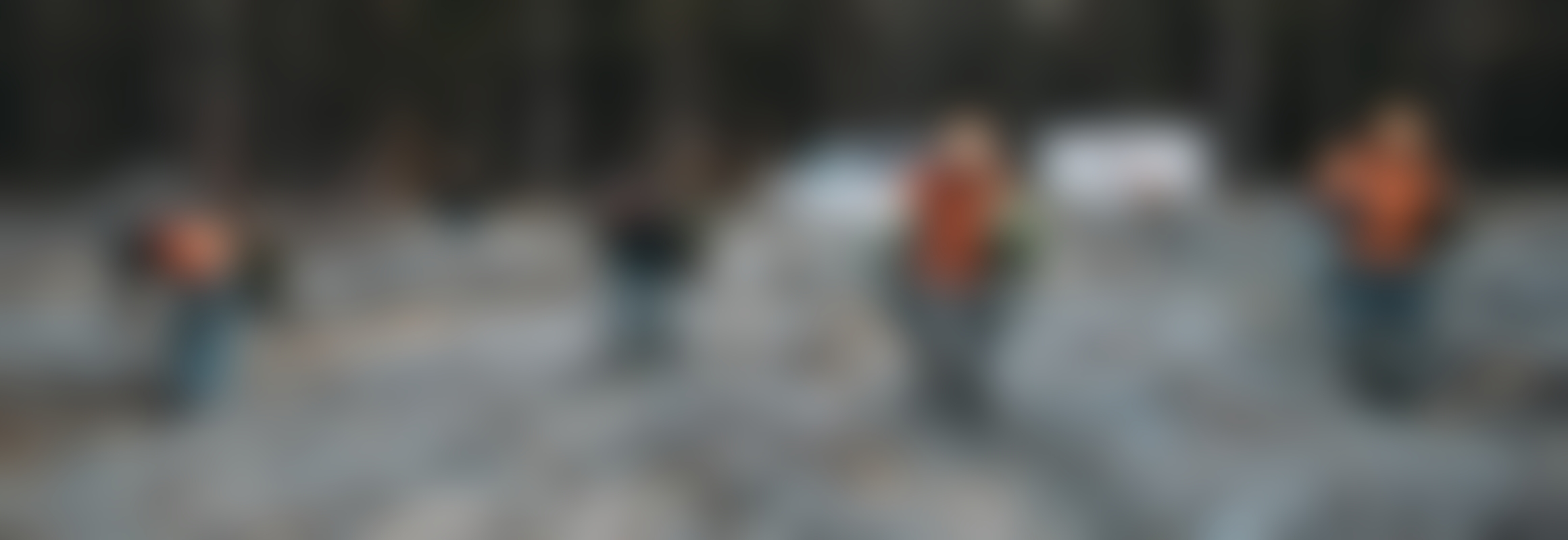 Plant a Tree Program | Progressive