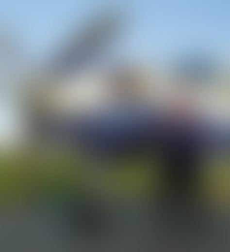 Acerca de Nosotros | Progressive