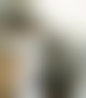 Affordable Pet Insurance for Dogs & Cats | Progressive