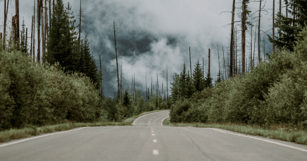 How To Prepare Your Home for a Wildfire | Progressive