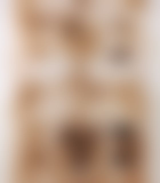 Art Collection Highlights | Progressive