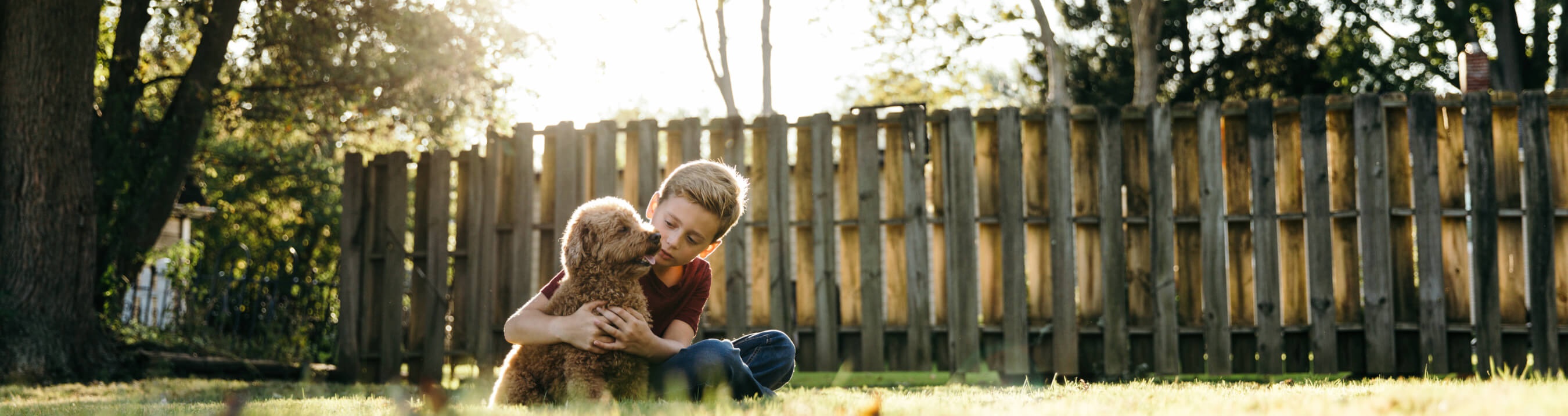 Affordable Pet Insurance Plan Options for Dogs & Cats | Progressive