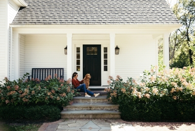 Pet Insurance for Older Dogs & Cats | Progressive