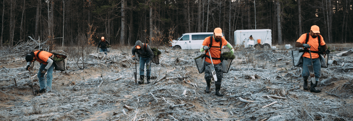 Plant a Tree Program | Progressive
