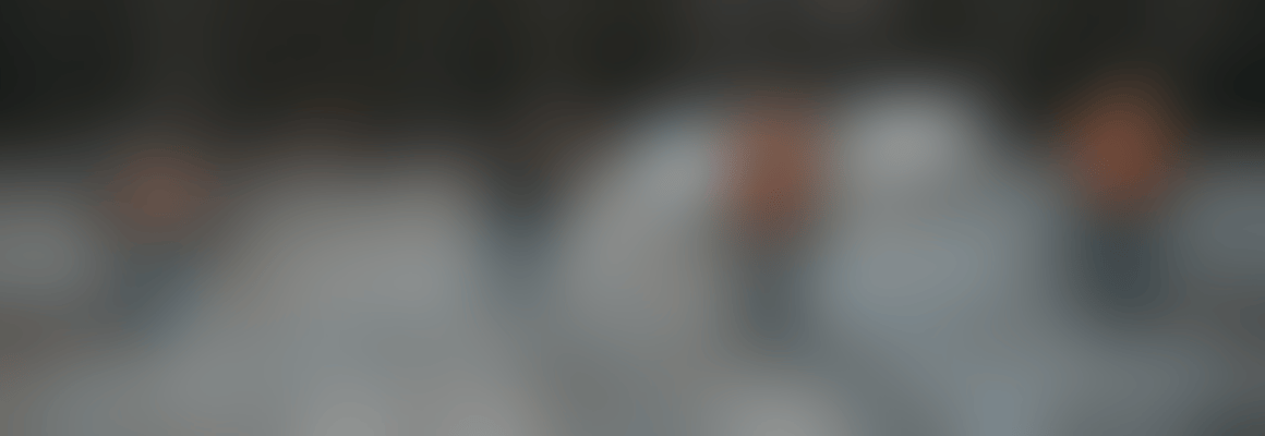 Plant a Tree Program | Progressive