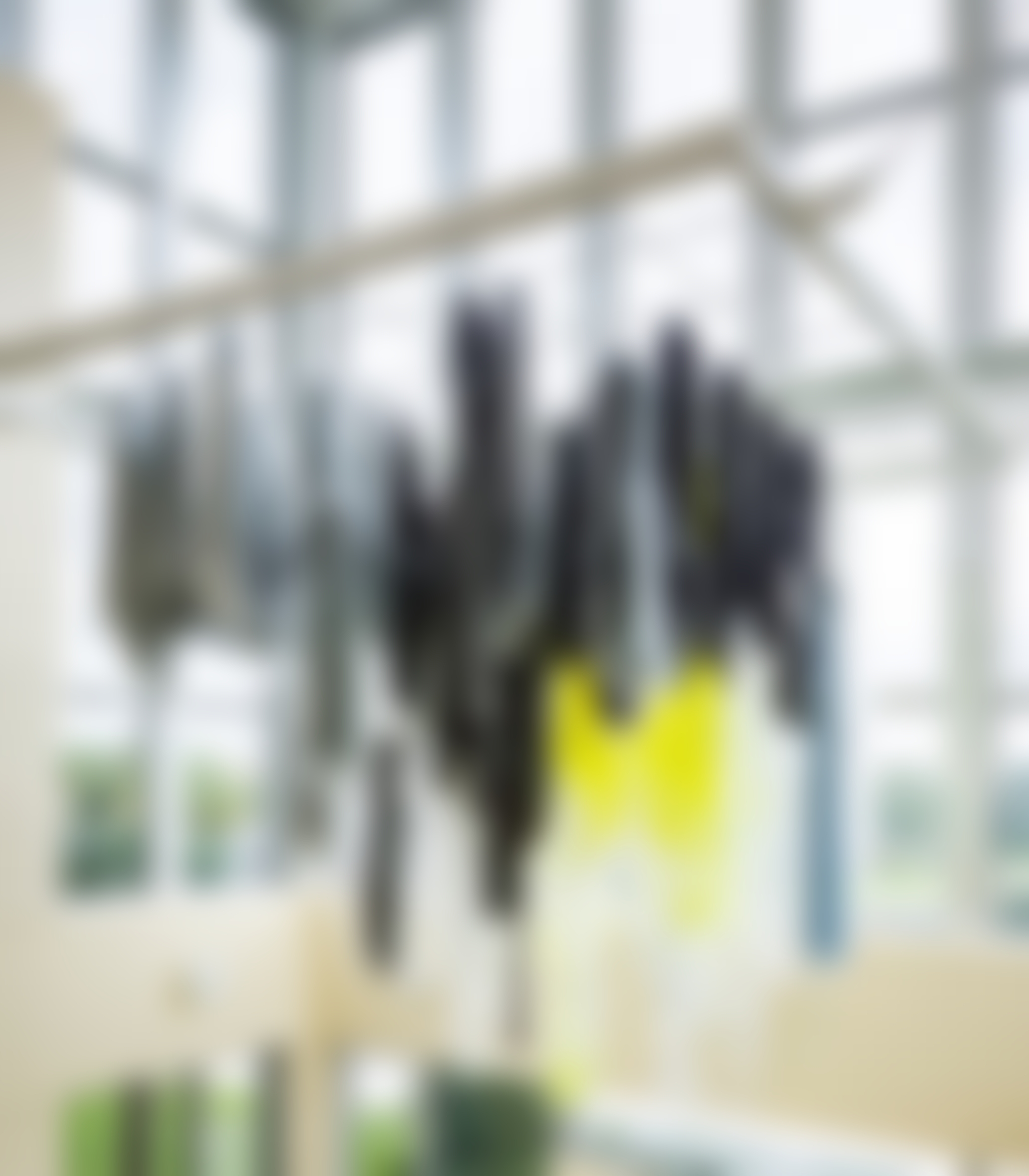 Art Installations | Progressive