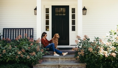 Does Homeowners Insurance Cover Dog Bites? | Progressive