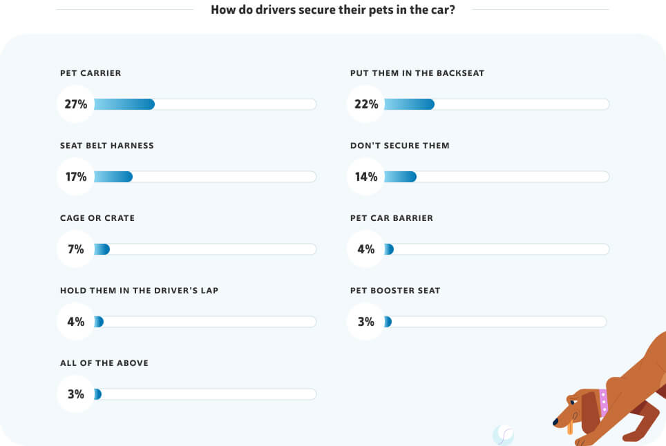 Driving With Pets: Getting There Safely | Progressive