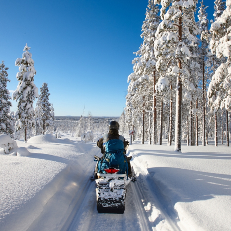 Insurance Basics: Insurance Coverage Articles | Progressive