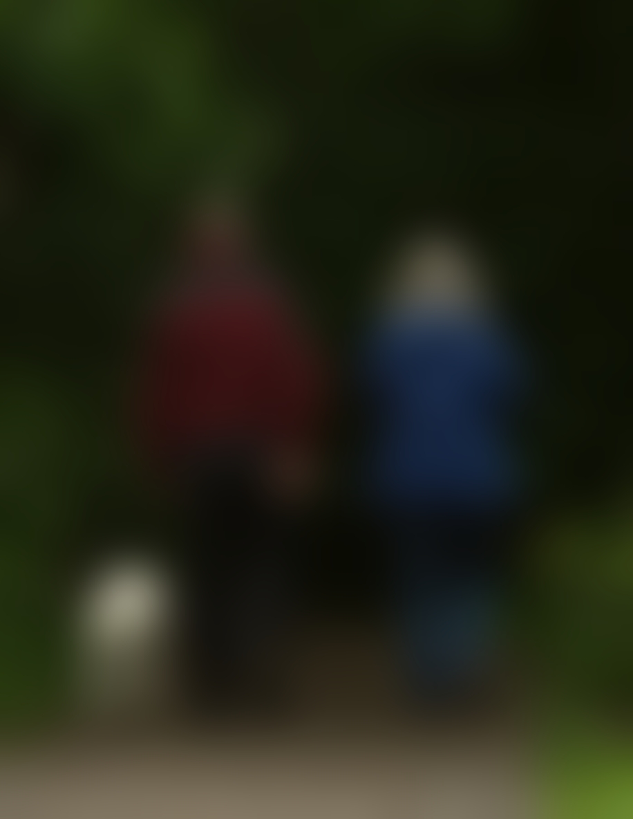 Get Free Life Insurance Quotes Online | Progressive