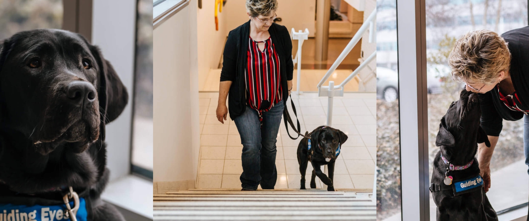 Diversity, Equity, and Inclusion (DEI) | Progressive