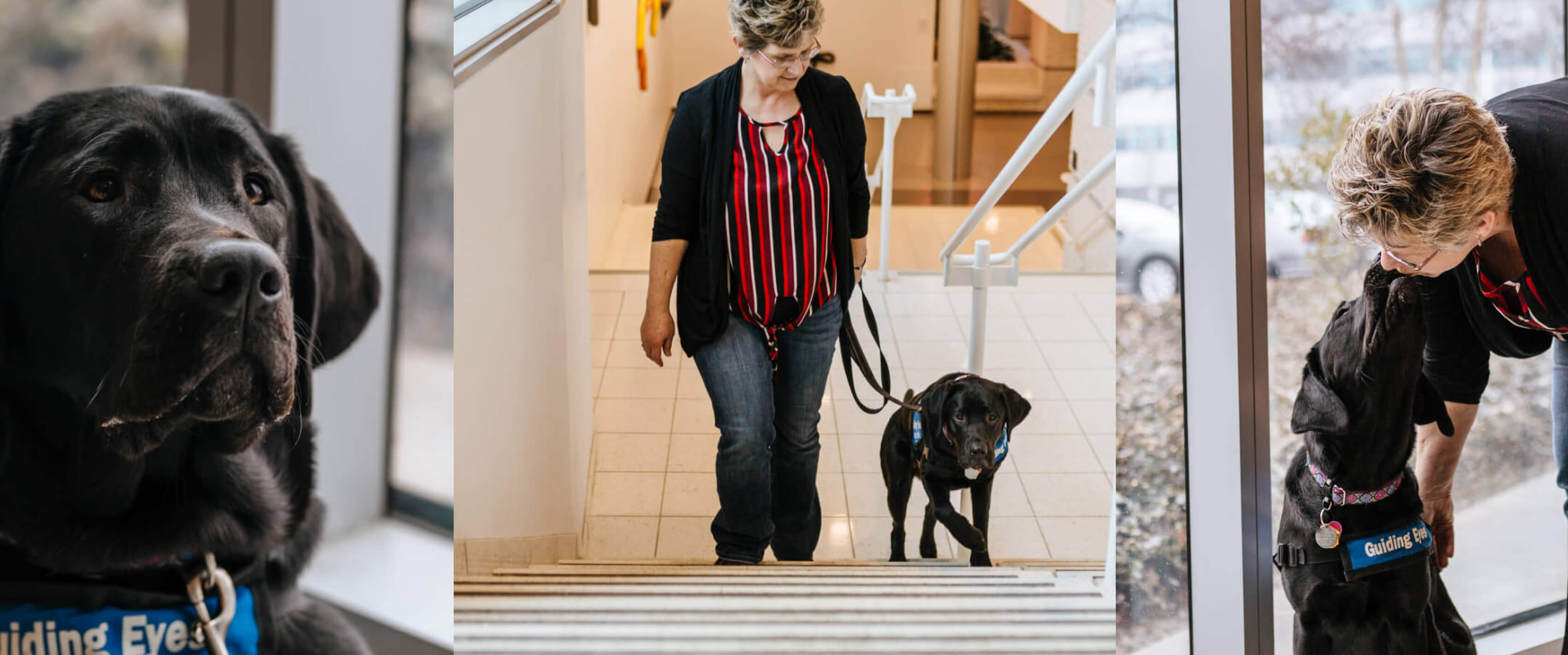 Diversity, Equity, and Inclusion (DEI) | Progressive