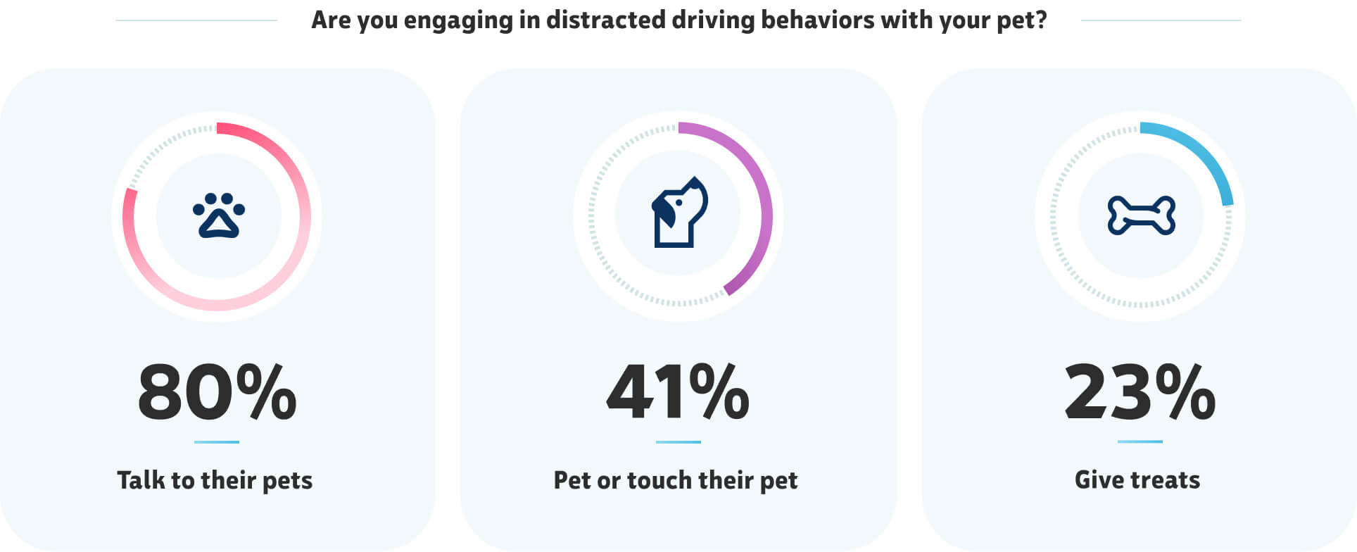 Driving With Pets: Getting There Safely | Progressive