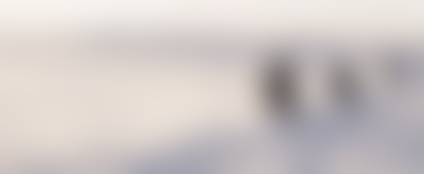 Snowmobile Insurance: Get a Quote Online | Progressive