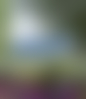 Progressive campus location | Progressive