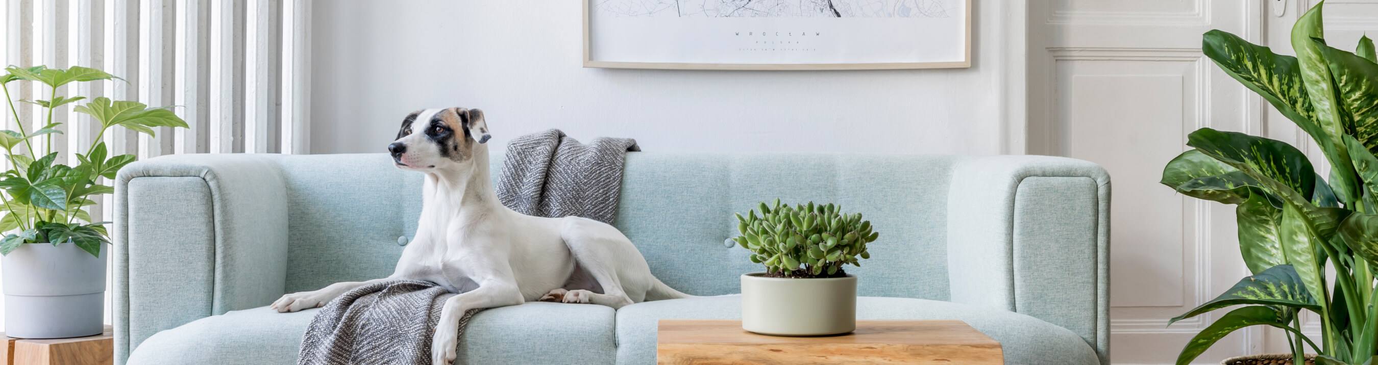 Quote Renters Insurance: Rates Start at $1/day | Progressive