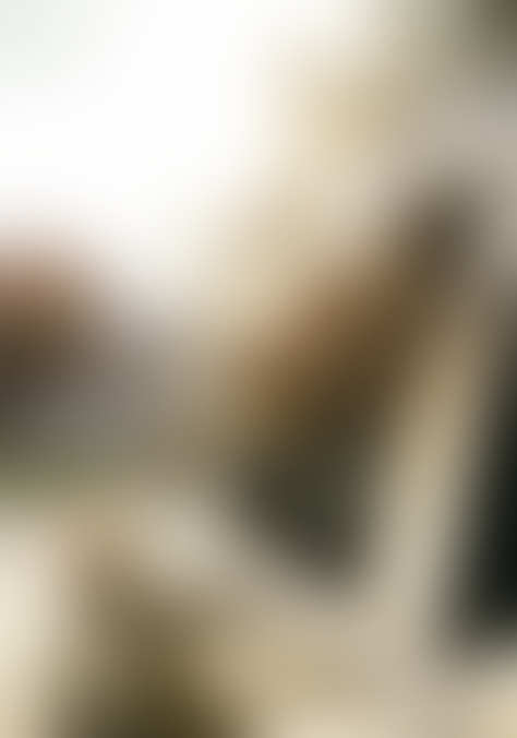 Car Insurance: Get an Auto Insurance Quote & Save | Progressive