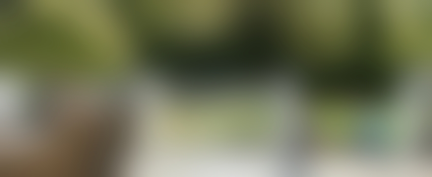 Florida Wind Mitigation Insurance Discounts | Progressive