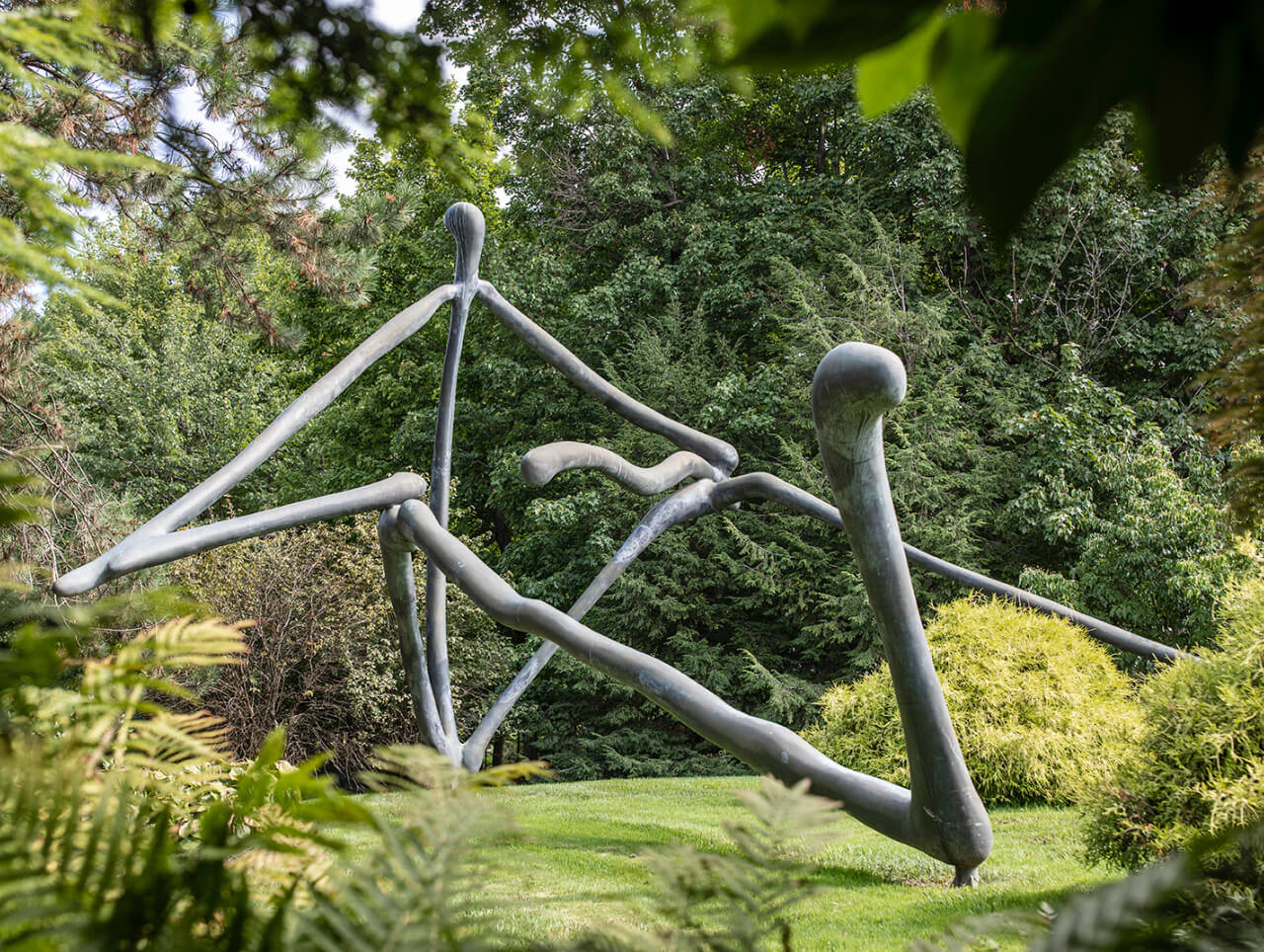 Art Installations | Progressive