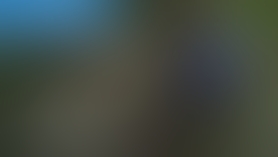 Insurance Commercials & Campaigns | Progressive